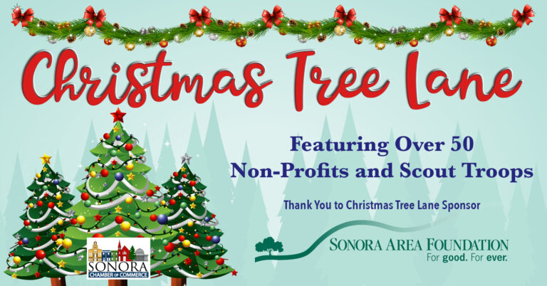 Christmas Tree Lane – Christmas Town Sonora